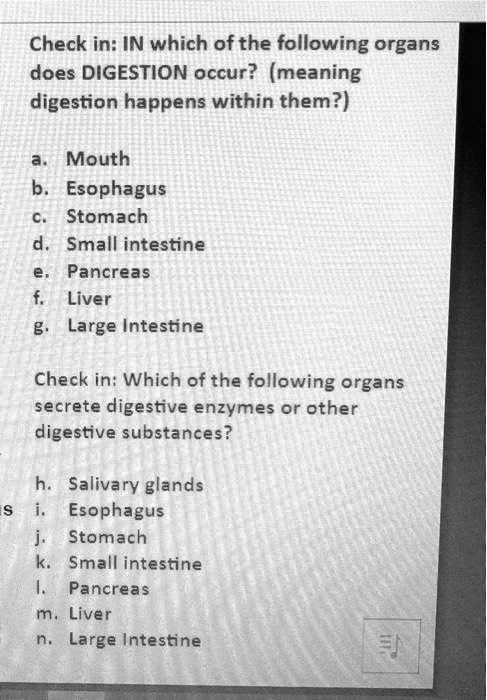 check in in which ofthe following organs does digestion occur meaning ...