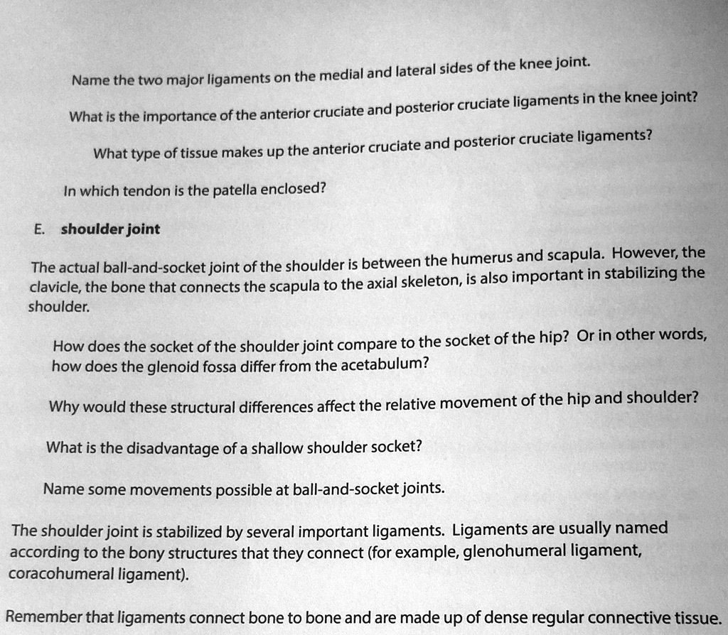 Name the two major ligaments on the medial and lateral sides of the ...