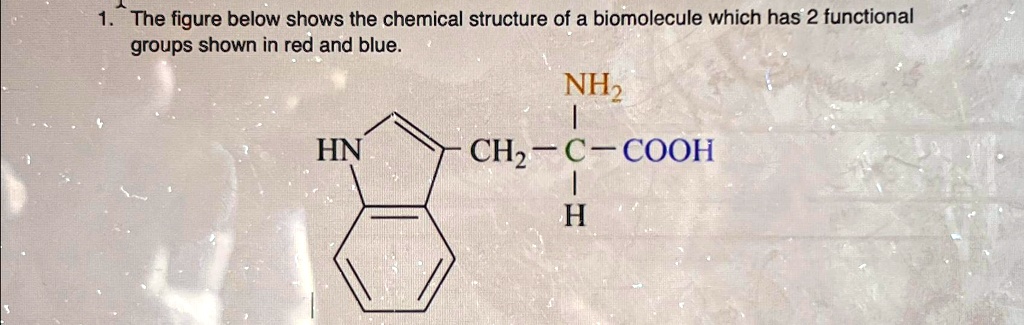 1. The figure below shows the chemical structure of a biomolecule which ...