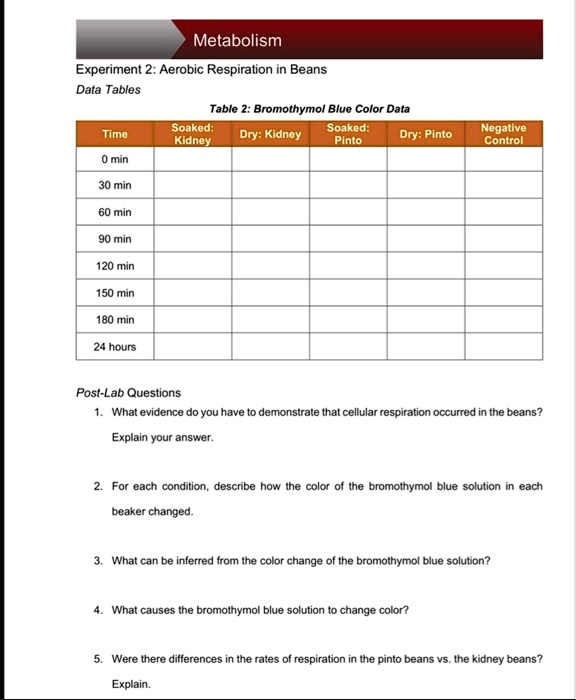 SOLVED: Text: Metabolism Experiment 2: Aerobic Respiration in Beans ...