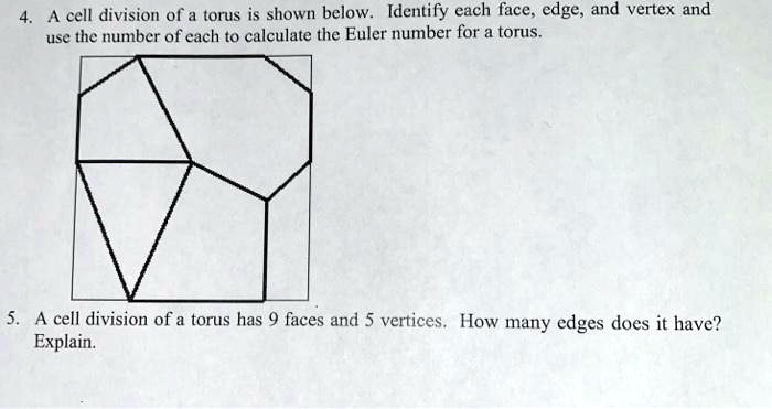 SOLVED:A cell division 0f a torus is shown below. Identify each face ...