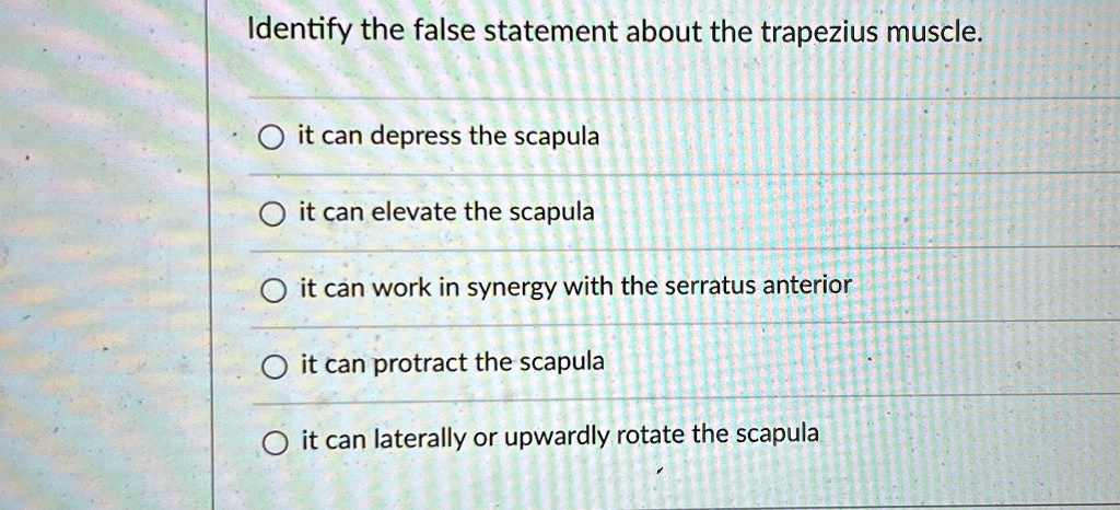 Identify the false statement about the trapezius muscle. it can depress ...