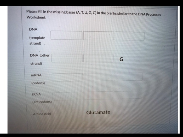 SOLVED:Please fllin the missing bases (A T,U,G C)in the blanks similar ...