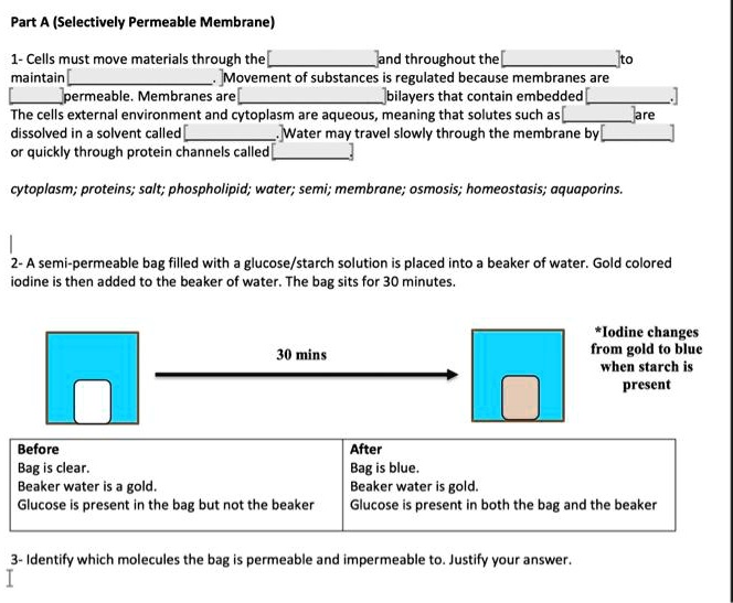 part a selectively permeable membrane cells must move materials through ...