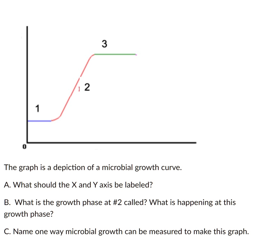 SOLVED: 3 2 L The graph is a depiction of a microbial growth curve A ...