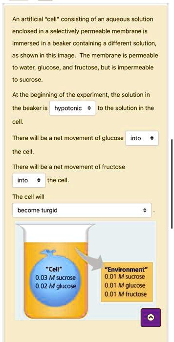 [GET ANSWER] an artificial cell consisting of an aqueous solution ...