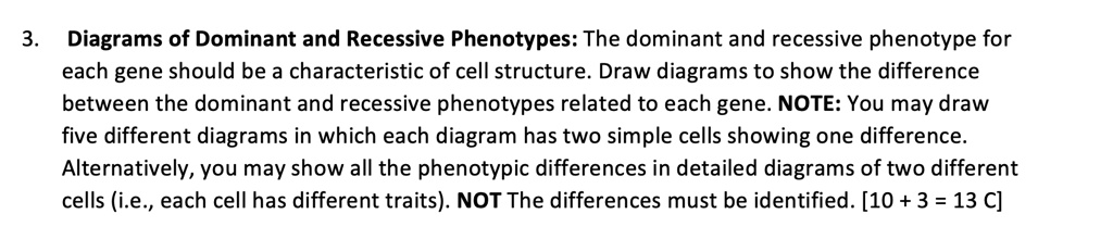 diagrams of dominant and recessive phenotypes the dominant and ...