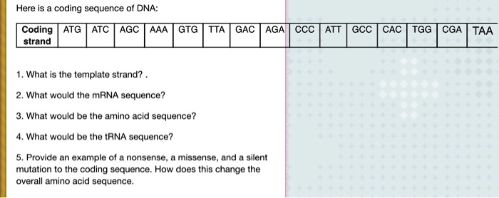 SOLVED: Here is coding sequence of DNA: Coding ATG ATC AGC AAA GTG TTA ...