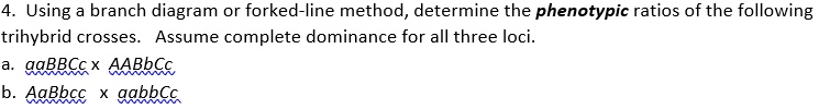 SOLVED: Using a branch diagram or forked-line method, determine the phenotypic ratios of the ...