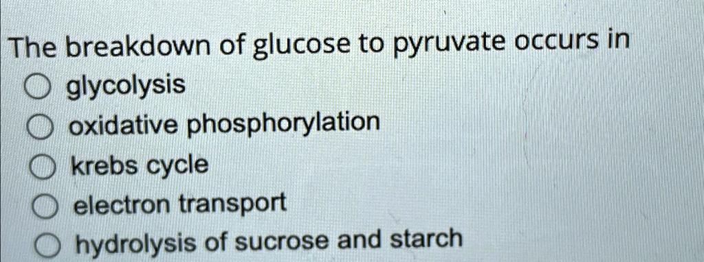 The breakdown of glucose to pyruvate occurs in glycolysis, oxidative ...
