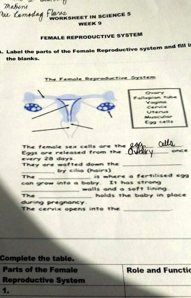 SOLVED: Pasagot lang po nung fill the blank Mabu Mu Temdad flonn ...