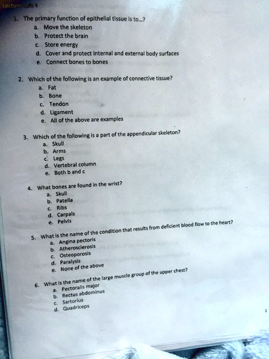 Lecture Quiz 1. The primary function of epithelial tissue is to...? a ...