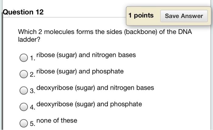 What Molecules Make Up The Sides Of The Dna Ladder - Mugeek Vidalondon