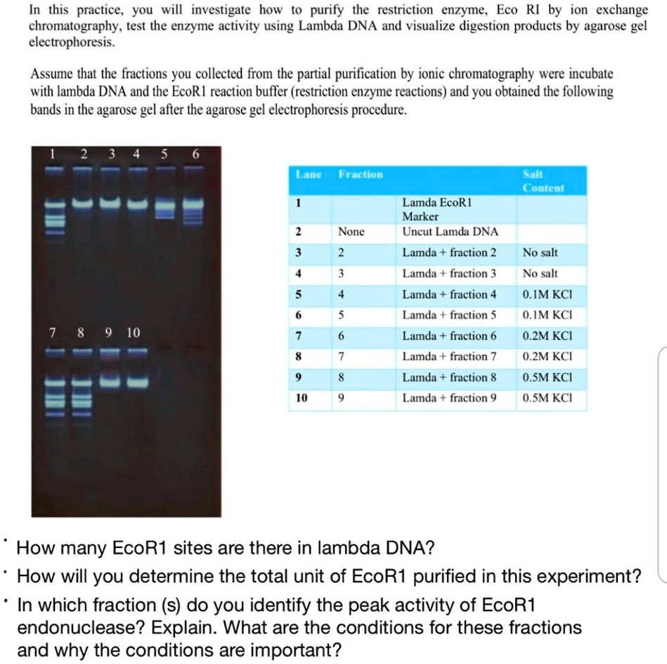SOLVED: In this practice; you will investigate how to purify the ...