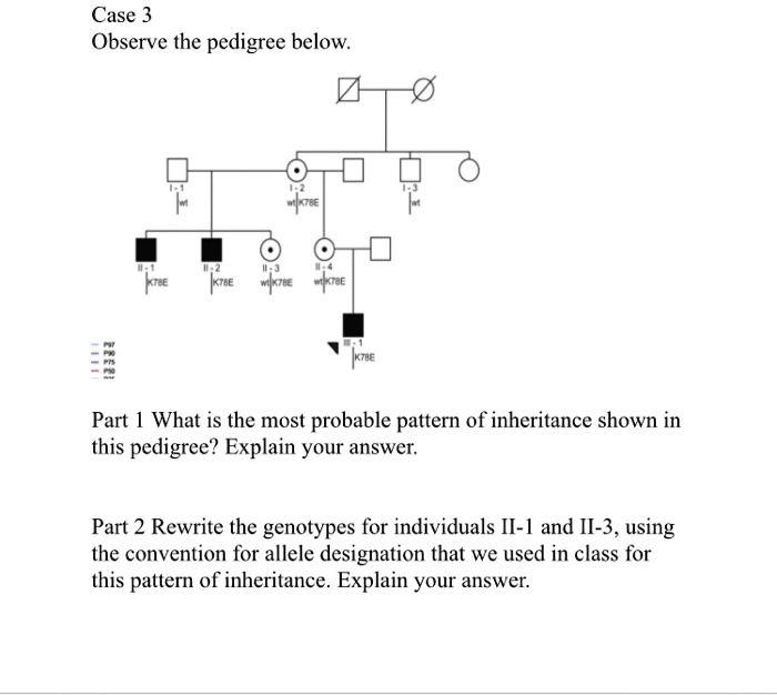 case 3 observe the pedigree below kee ixtbe part what is the most probable pattern of ...