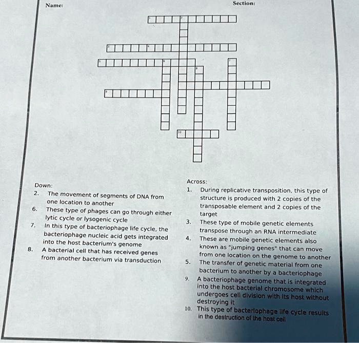 SOLVED: Texts: Please help me to solve this. Name: Section: Down: 2 ...