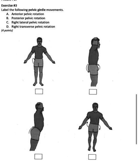 Exercise #3 Label the following pelvic girdle movements. A. Anterior ...