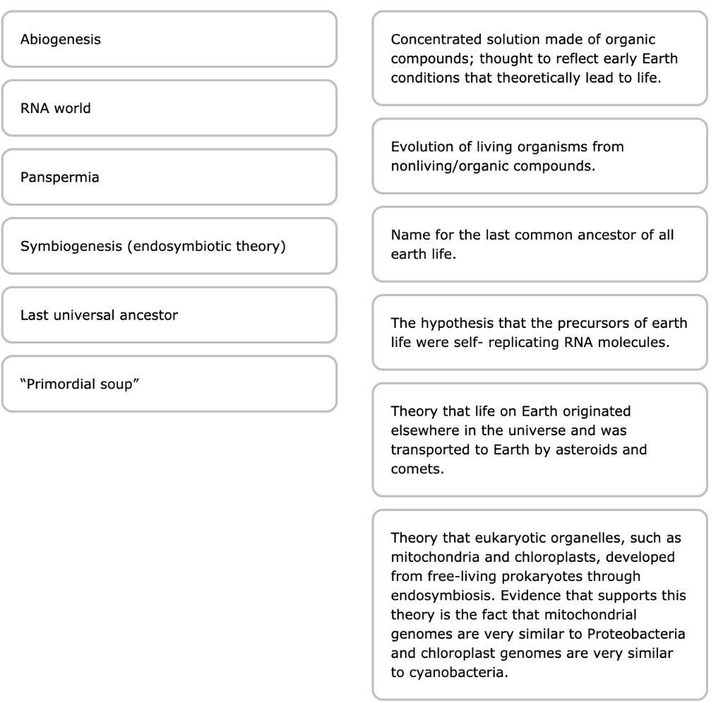 SOLVED: Abiogenesis Concentrated solution made of organic compounds ...
