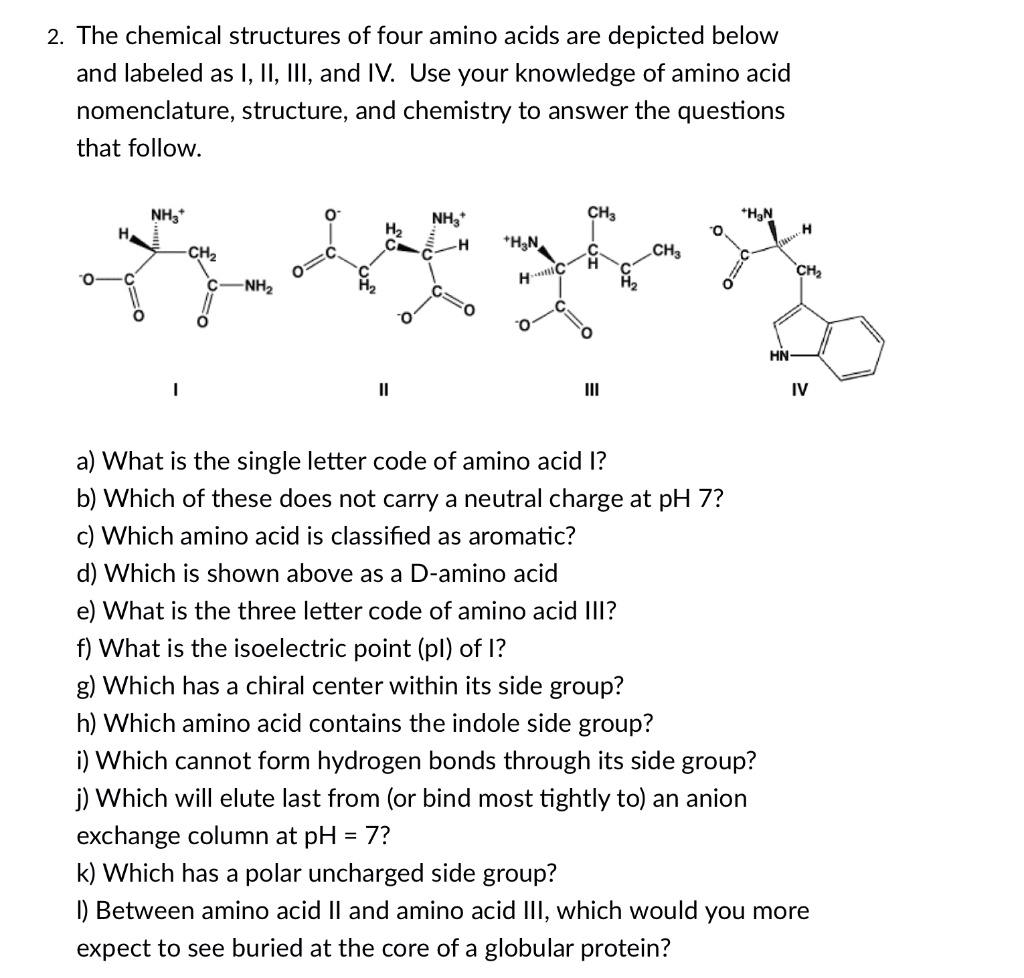 SOLVED: The chemical structures of four amino acids are depicted below ...