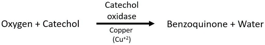 SOLVED: The brown discoloration of apples and potatoes is due to an ...