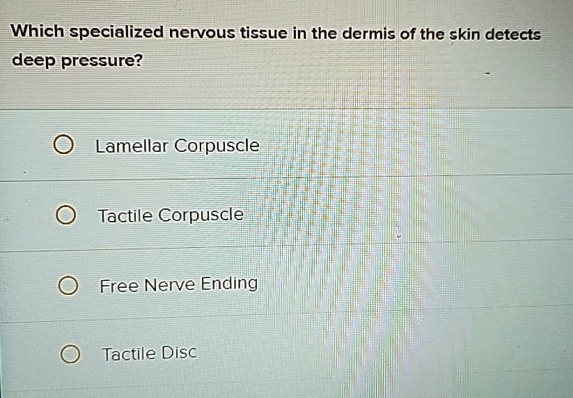 SOLVED: Which specialized nervous tissue in the dermis of the skin ...
