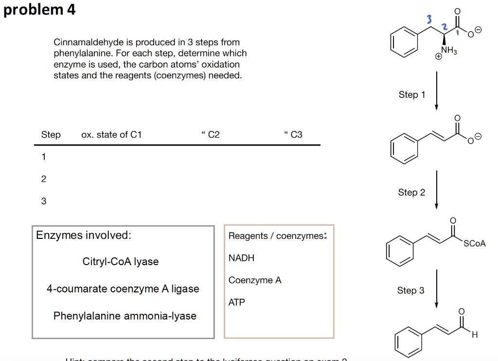 problem 4 Cinnamaldehyde is produced in 3 steps from phenylalanine. For ...