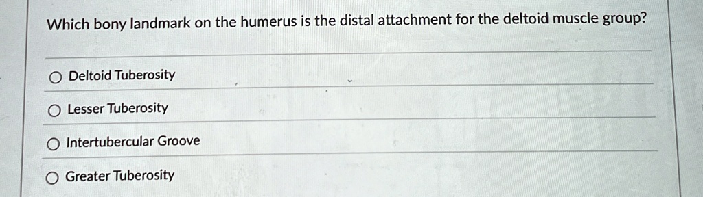 Which bony landmark on the humerus is the distal attachment for the ...