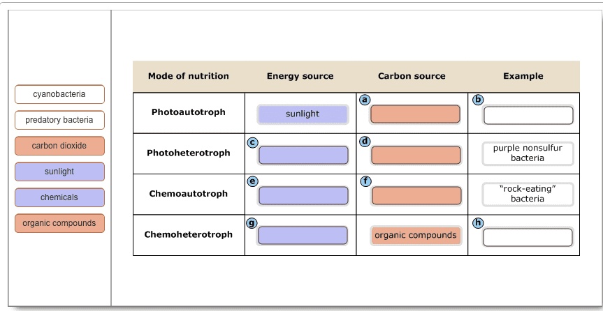 drag the labels onto this table about prokaryotic modes of nutrition ...