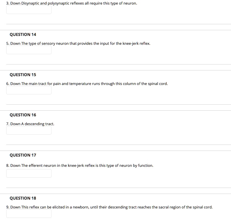 3. Down Disynaptic and polysynaptic reflexes all require this type of neuron. QUESTION 14 5 ...