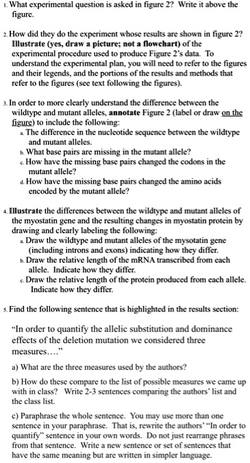 SOLVED: What experimental question aked figure 22 Write above the ...