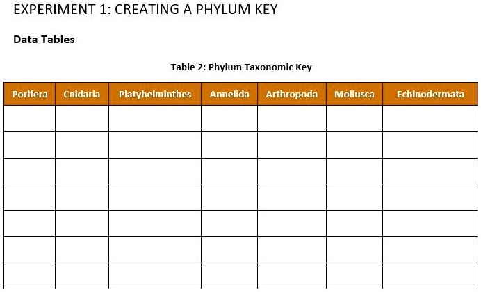 EXPERIMENT 1: CREATING A PHYLUM KEY Data Tables Table 2: Phylum ... EXPERIMENT 1: CREATING A PHYLUM KEY Data Tables Table 2: Phylum ...