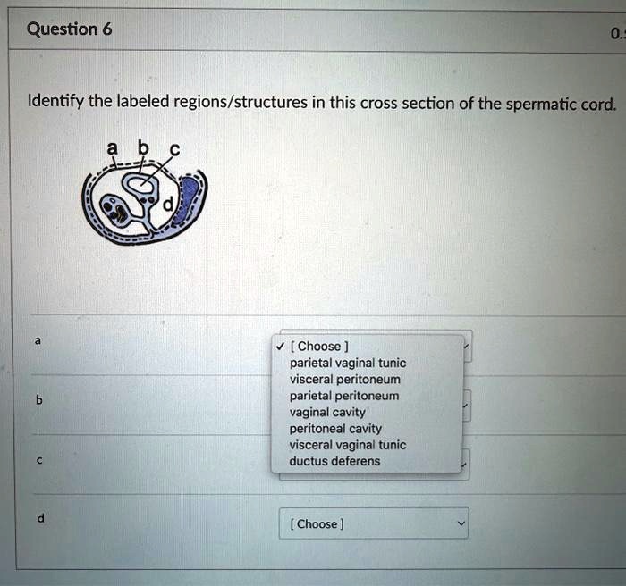 SOLVED: Please answer all 4 parts, A-D using the terms in the box ...