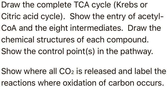 Draw the complete TCA cycle (Krebs or Citric acid cycle). Show the ...