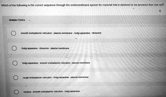 SOLVED: Which of Ihe following lhe correct sequence through the ...