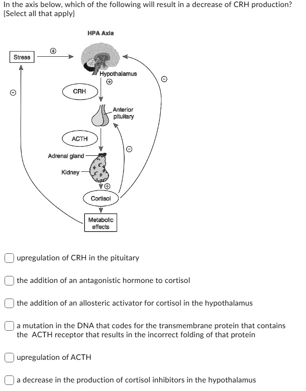 SOLVED:In the axis below, which of the following will result in ...