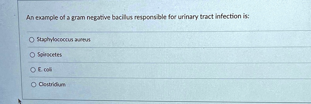 SOLVED: An example of a gram-negative bacillus responsible for urinary ...
