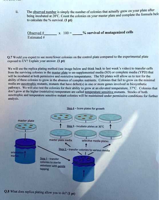 the chsencdnumbcr simply the number of colonies that actually grew on ...