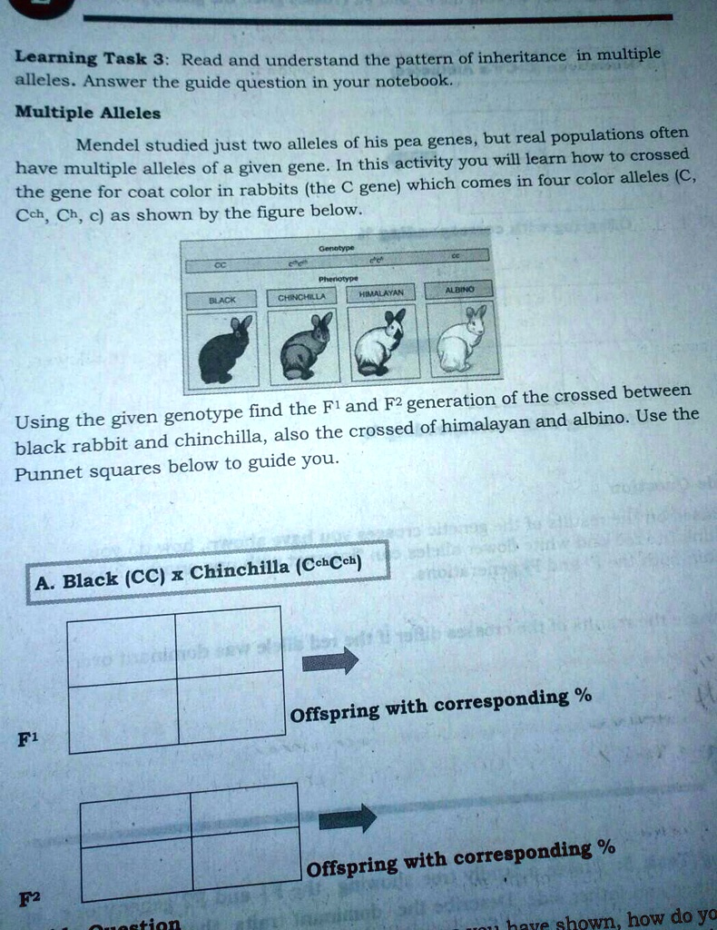 Learning Task 3: Read and understand the pattern of inheritance in ...