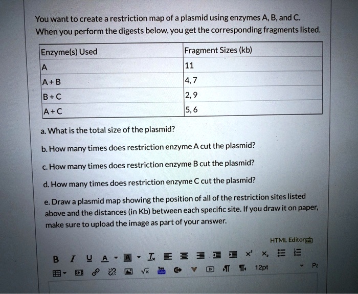 SOLVED: You want to create a restriction map of a plasmid using enzymes A, B, and C. When you ...