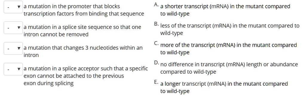 SOLVED: a mutation in the promoter that blocks transcription factors ...