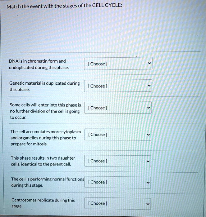 SOLVED: Match the event with the stages of the CELL CYCLE: DNA is in chromatin form and ...