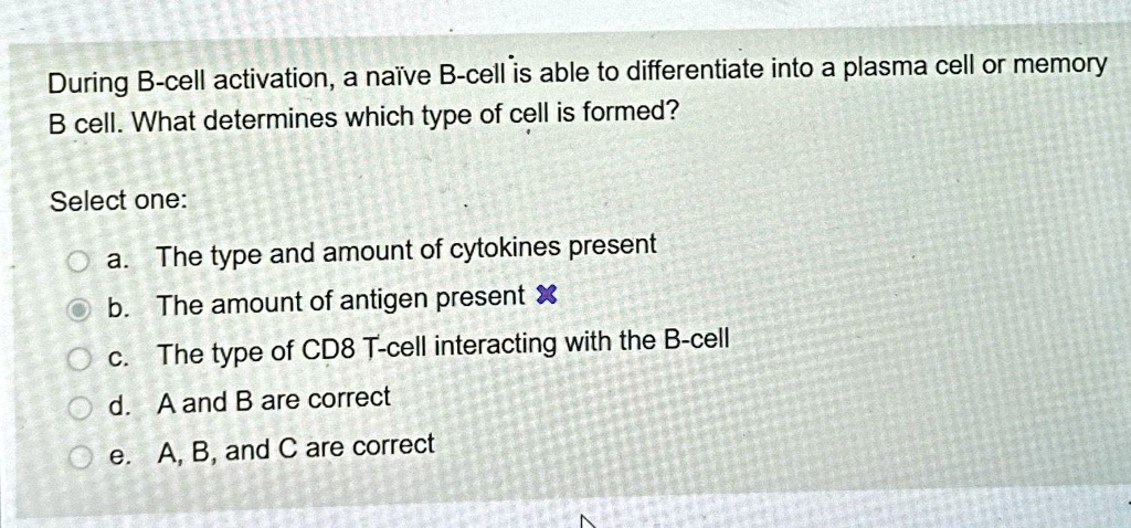 During B-cell activation, a naïve B-cell is able to differentiate into ...