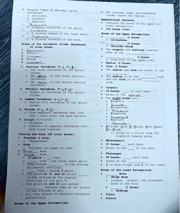 several typea of abnormal spine curvature scoliosis lordosis kyphosis ...