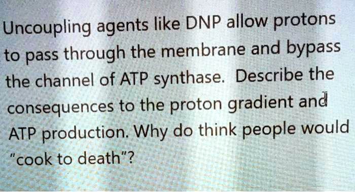 SOLVED: Uncoupling agents like DNP allow protons to pass through the ...