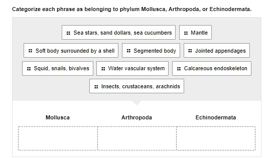 Categorize each phrase as belonging to phylum Mollusca, Arthropoda, or ... Categorize each phrase as belonging to phylum Mollusca, Arthropoda, or ...