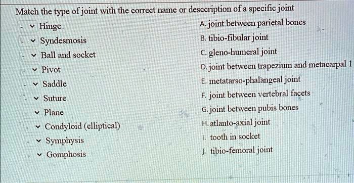 match the type of joint with the correct name or desccription ofa ...