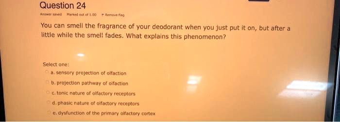 question 24 marked ovt of 00 you can smell the fragrance of your ...