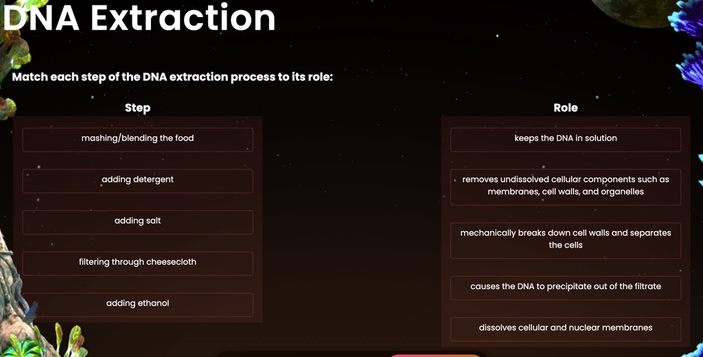 SOLVED: DNA Extraction Match each step of the DNA extraction process to ...