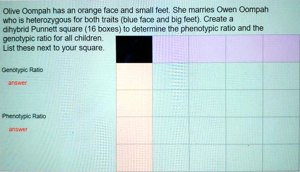 Olive Oompah has an orange face and small feet. She marries Owen Oompah ...