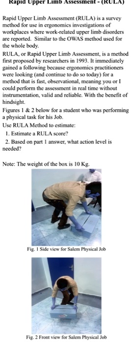 Rapid Upper Limb Assessment - (RULA Rapid Upper Limb Assessment (RULA ...